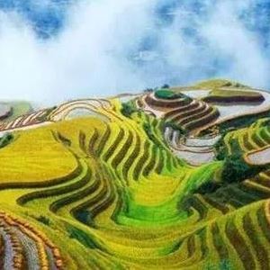 印象桂林 文学作品 传说故事 龙脊梯田的故事
